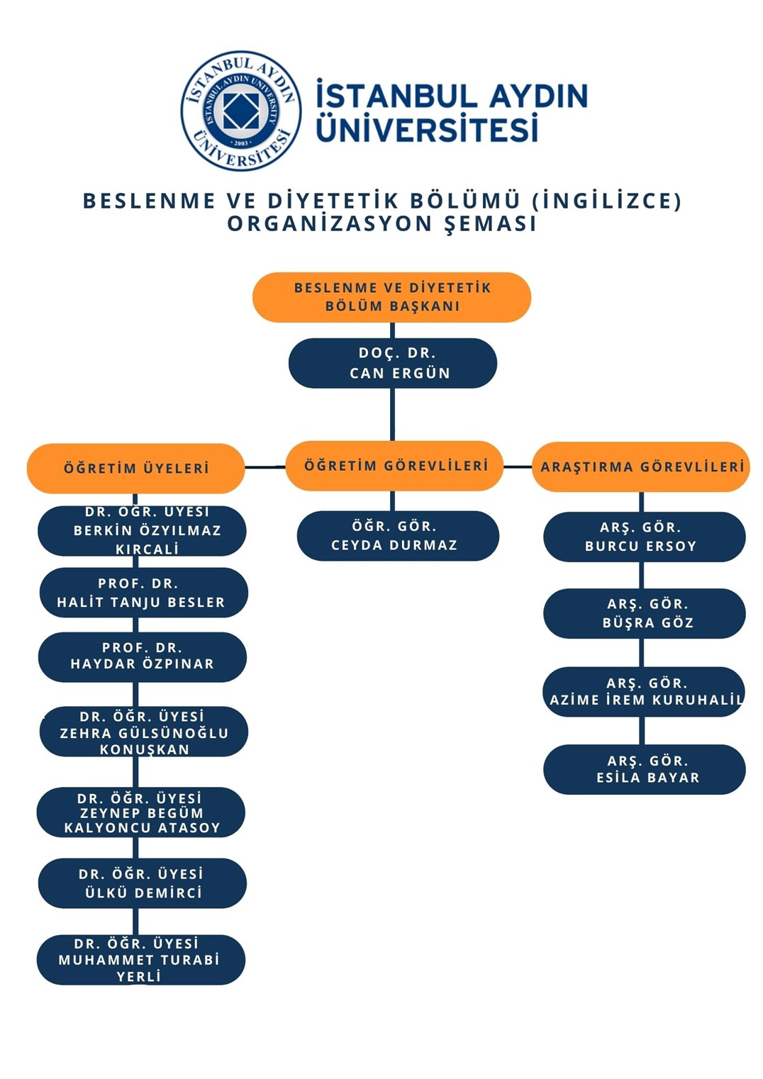 Bölüm Organizasyon Şeması